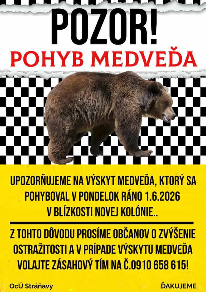 AKTUÁLNE VAROVANIE Dve medvede priamo pri zastávke: Smerujú aj k ...